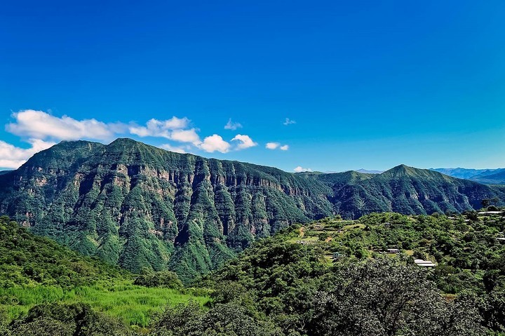 La Ruta de las Yungas, una increíble travesía en el Noroeste : ProYungas