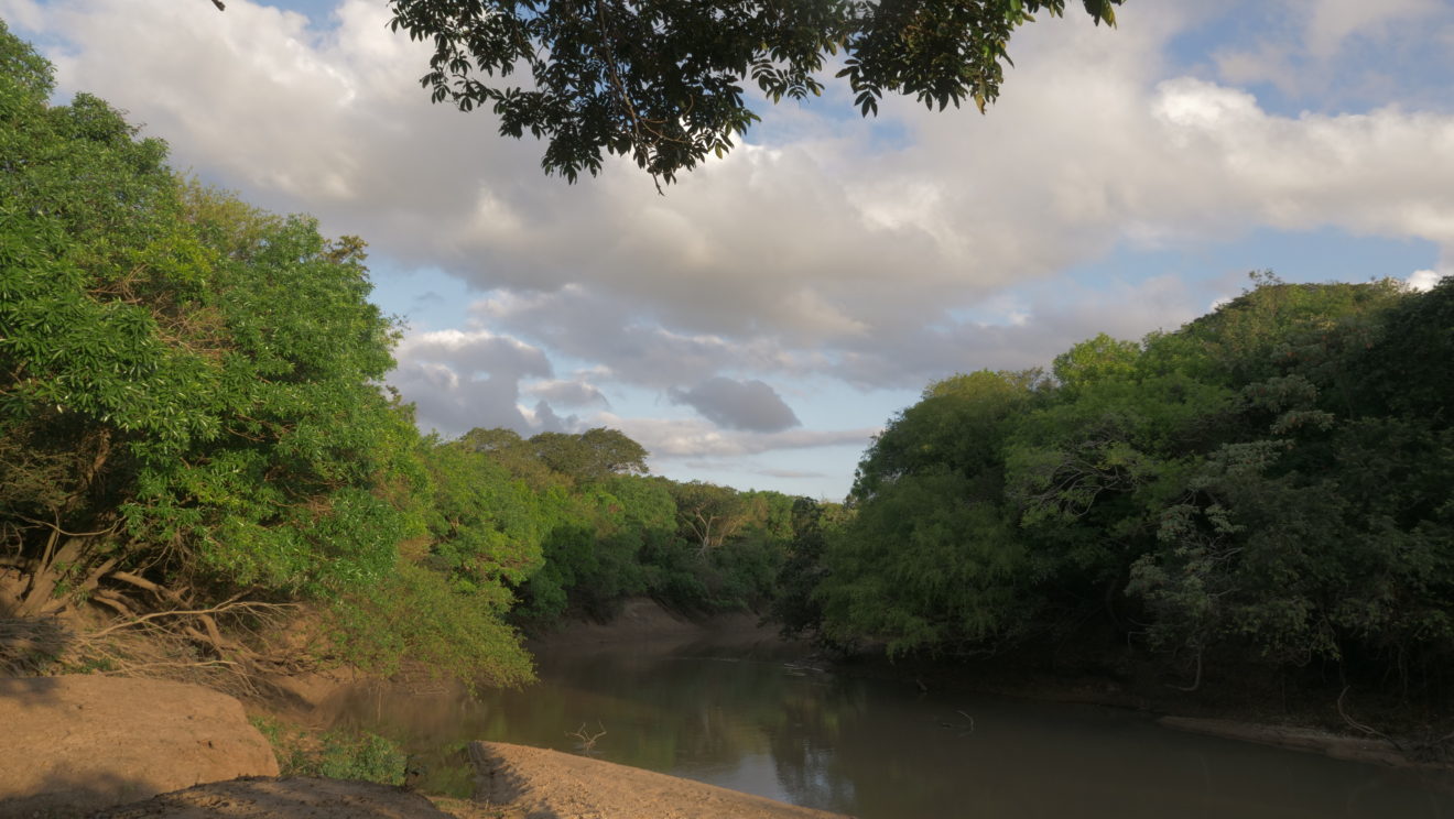 El Río Aguapey lugar de encuentro entre la producción y la naturaleza ...